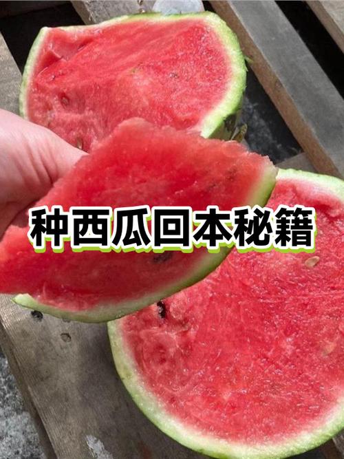 西瓜切开了放冰箱可以放多久图标