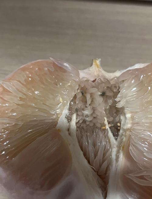 柚子皮黑点里面完好