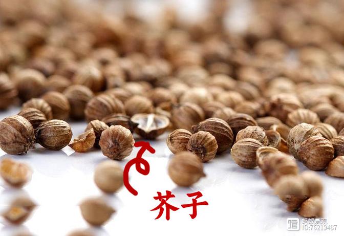 芥子破解图标