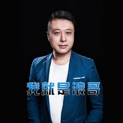歌手浪哥简介图标