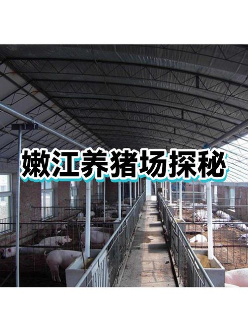 黑龙江养猪大县排名图标