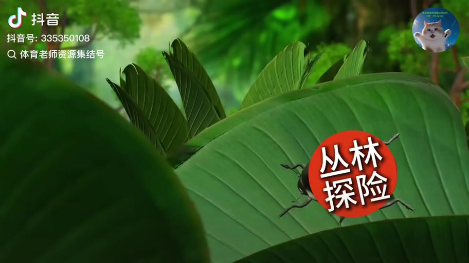 光枪丛林探险游戏视频截图