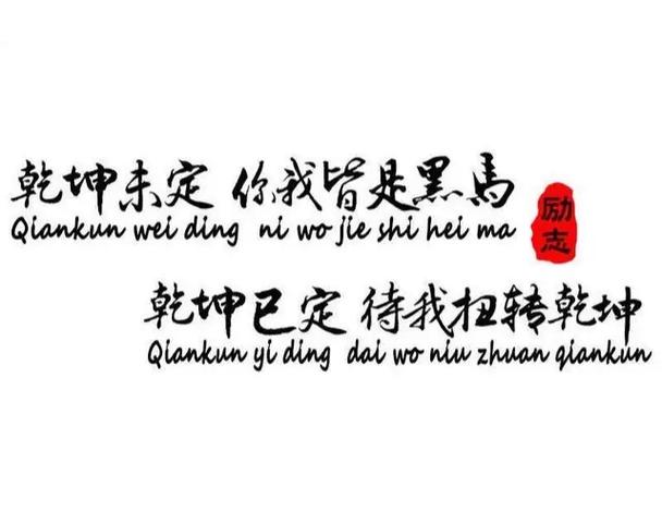 高三黑马逆袭励志截图