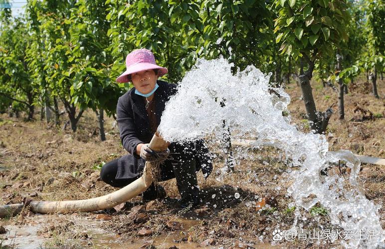 美团果园浇水多少次截图