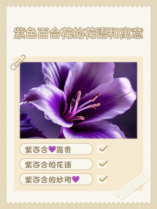 紫色在男女之间寓意图标
