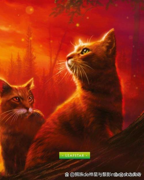 猫武士中最可怜的5个角色图标