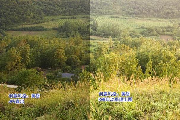 jpg和raw哪个画质好图标
