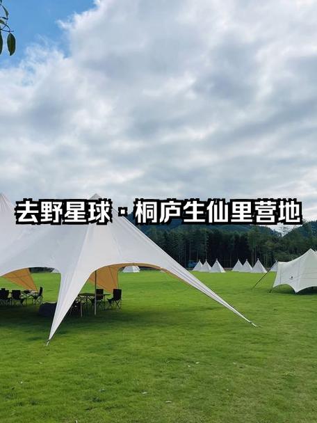 去野星球APP图标