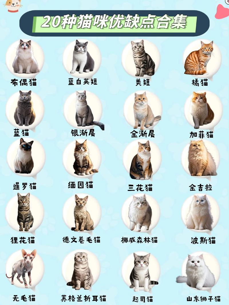 猫头像女生高冷图标