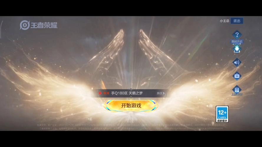 王者每次打开都重新登图标