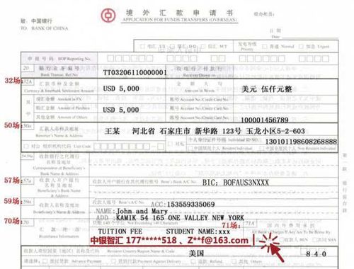 中国银行能汇款外国银行吗图标