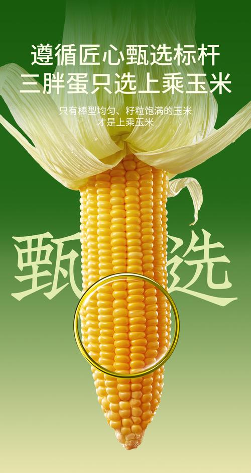 宣传玉米广告语音