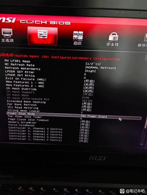 微星bios集显共享内存截图