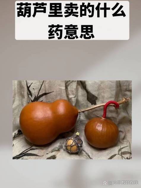 葫芦里卖的什么药造句截图