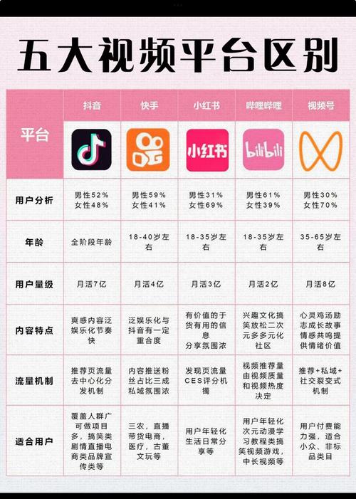 靠播放量赚钱的视频平台截图