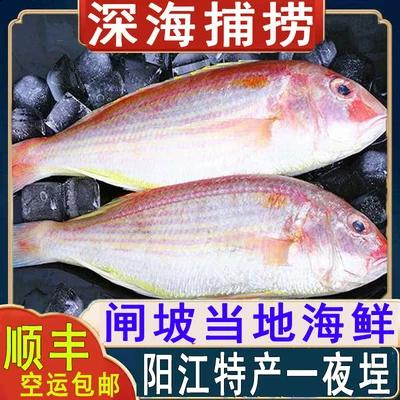 咸鱼放冷冻能保存多久图标