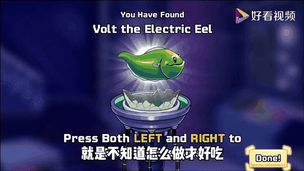 八爪鱼蛋图标
