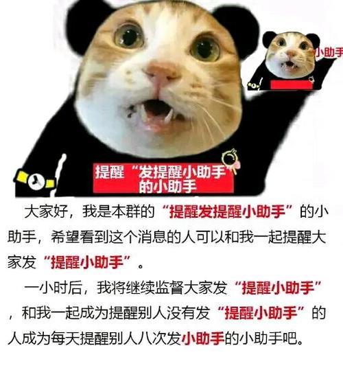 QQ添加表情包图标