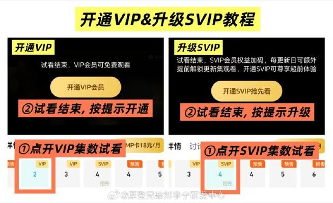 破解VIP教程图标