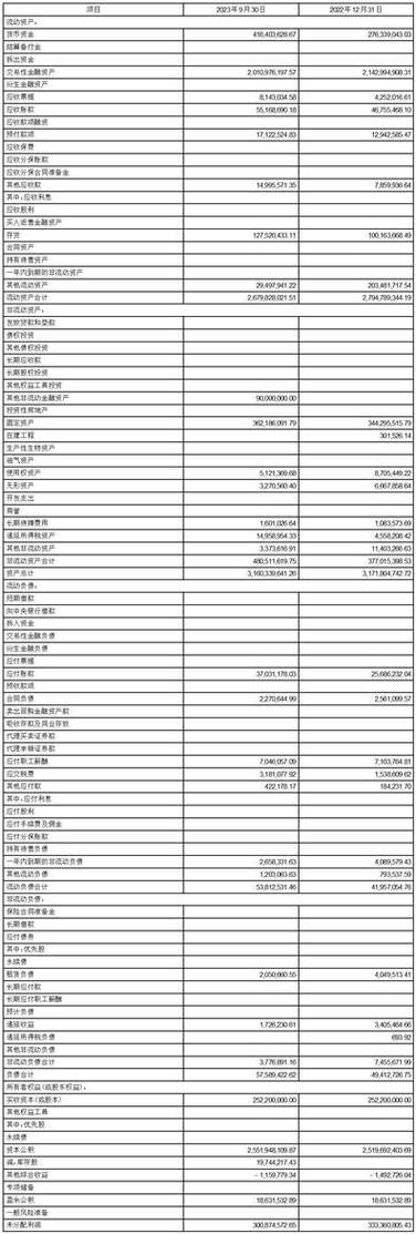 公司财务报表在哪里查截图