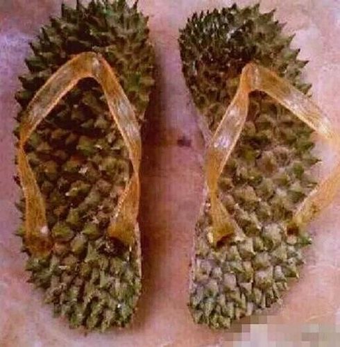 用榴莲皮刷脚心
