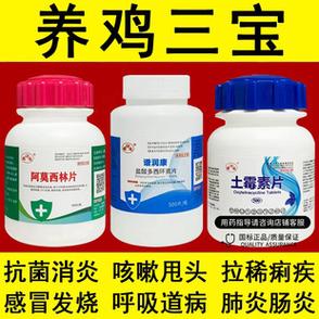 鸡增蛋用什么药最好图标