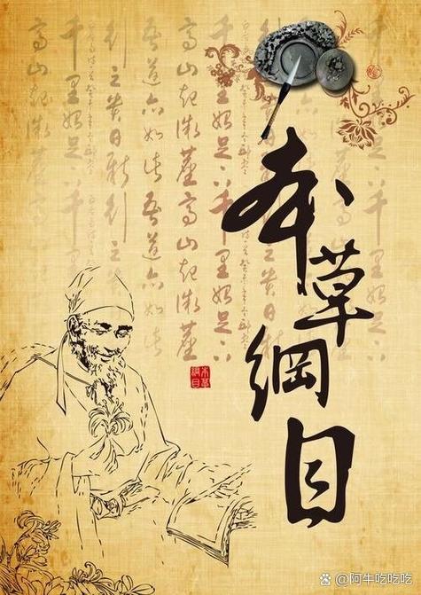 鹅肉为何叫断阳草图标