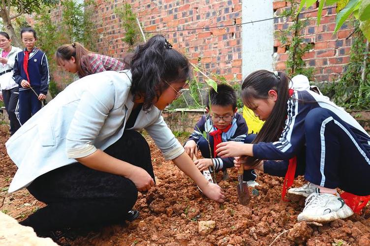 钉钉班级种树图标