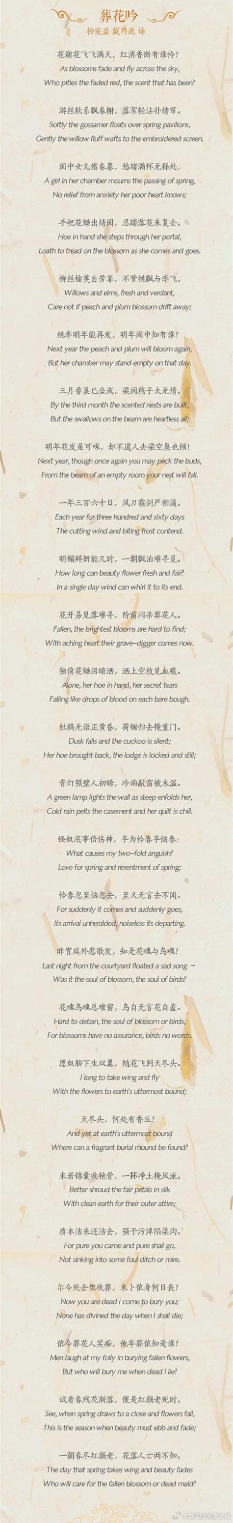 视频翻译成文字的软件免费图标