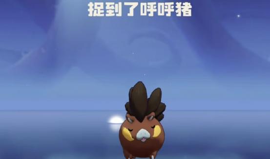 洛克王国自恋猪技能表截图