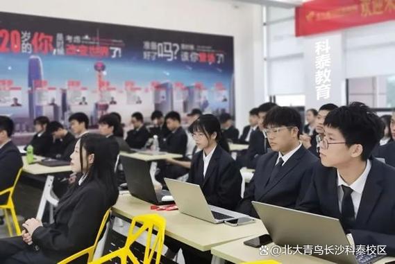 北大青鸟有什么专业?图标