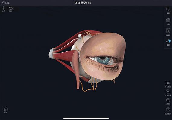 completeanatomy官网下载图标