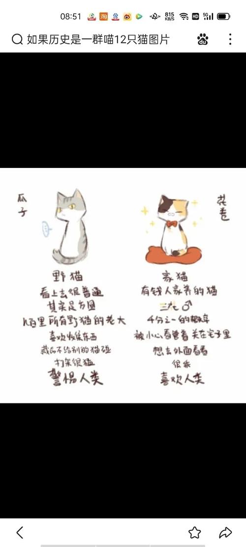 喵某某的小说图标