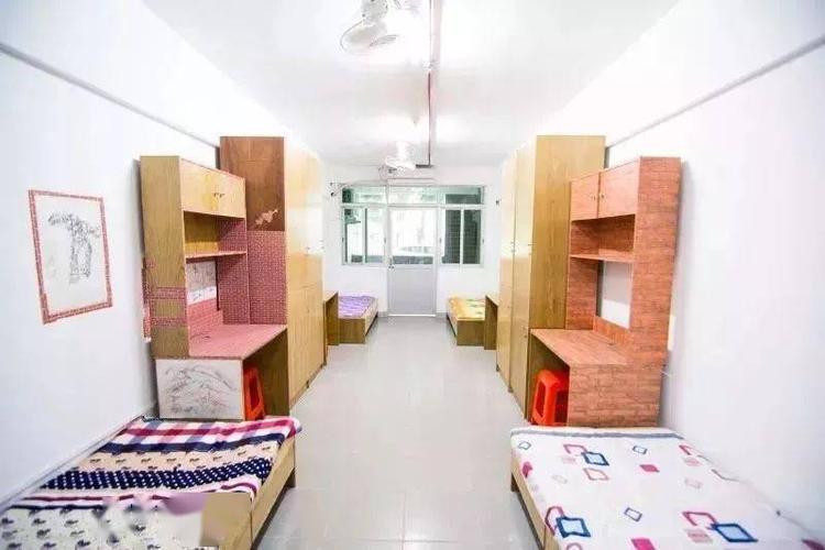 学生证在支付宝哪里看图标