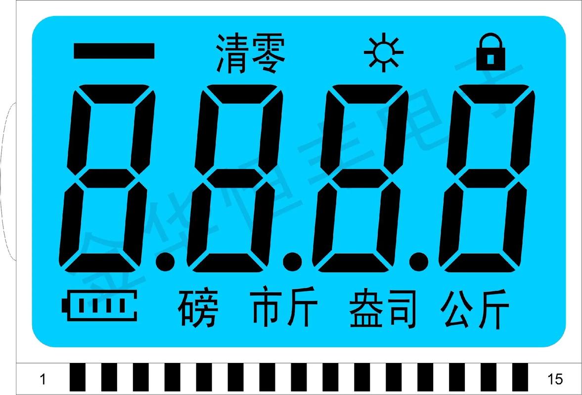 屏幕电子秤下载截图