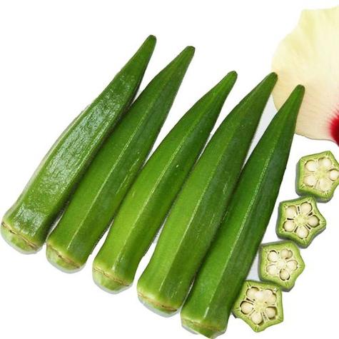 秋葵有几种品种图片截图