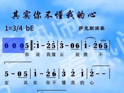 《你不懂我的心》歌词图标