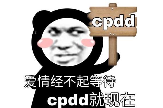 cpdd是干什么用的图标