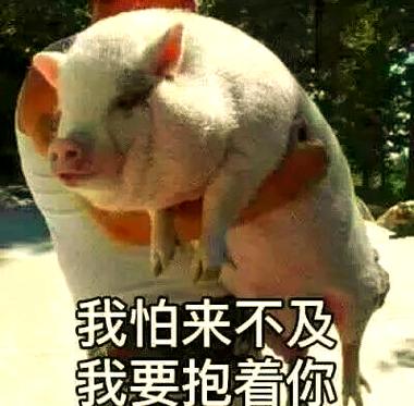 抱女朋友像抱猪表情包图标