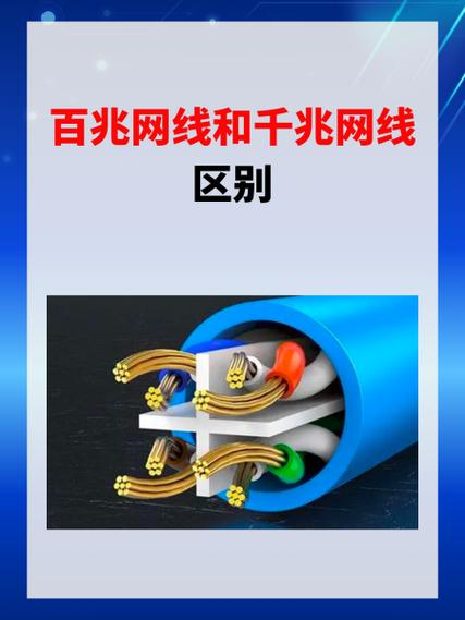 tp5620怎么区分百兆和千兆图标