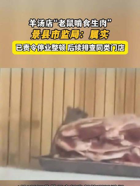 景县今日事件截图
