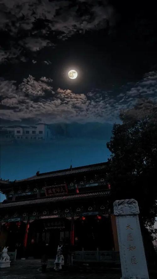 月待圆时晋江