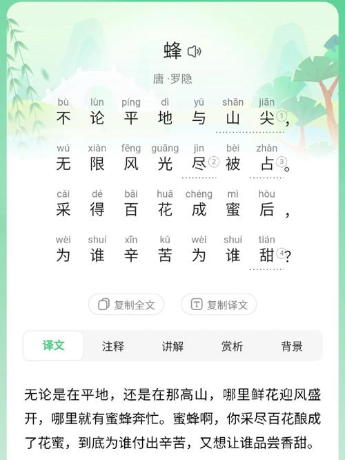 蜜蜂的讲解视频图标