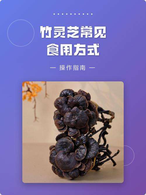 竹灵芝为何不建议吃图标