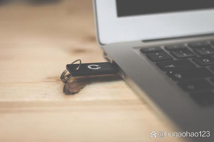 u盘显示有东西但是打开是空的图标