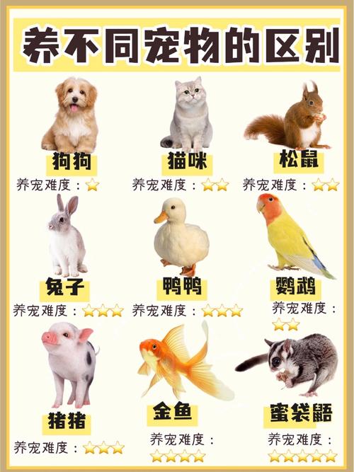 宠物连连看经典版官方版图标