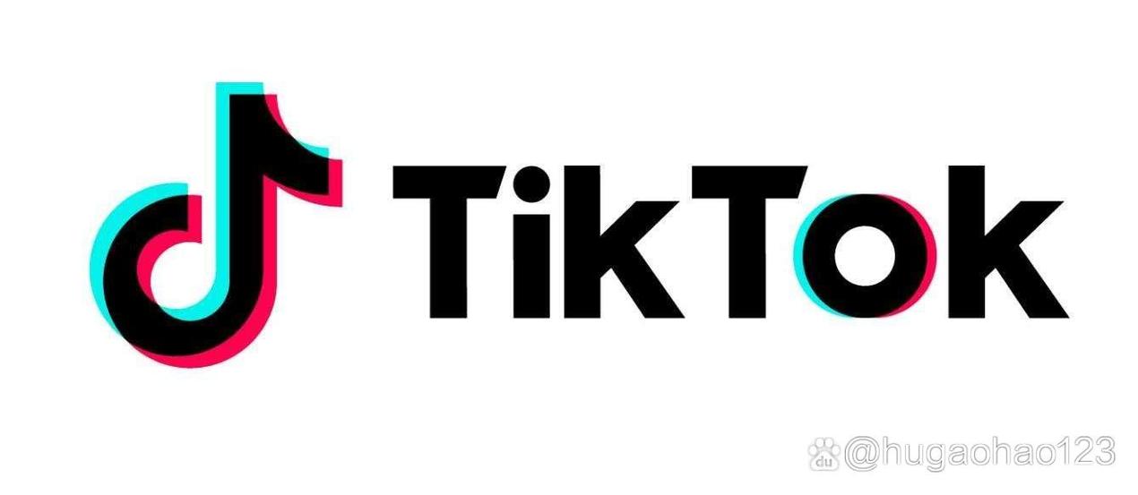 登陆tiktok出现访问太频繁截图