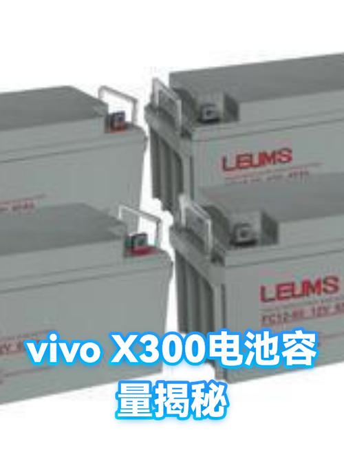 vivo x300电池容量图标