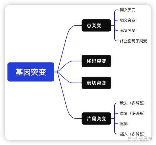 基因突变是什么意思啊图标