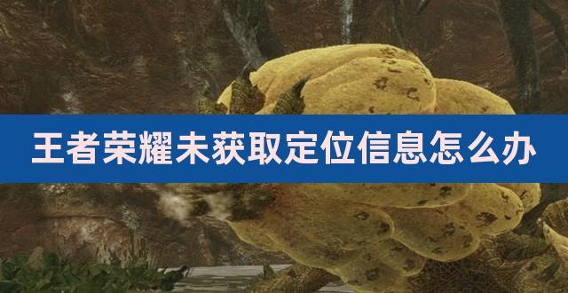王者荣耀无法获取定位图标